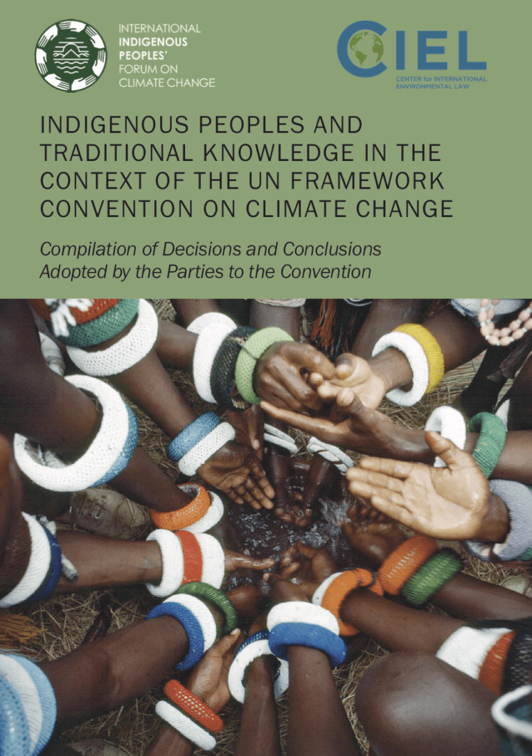 Indigenous Peoples and Traditional Knowledge in the Context of the UN ...