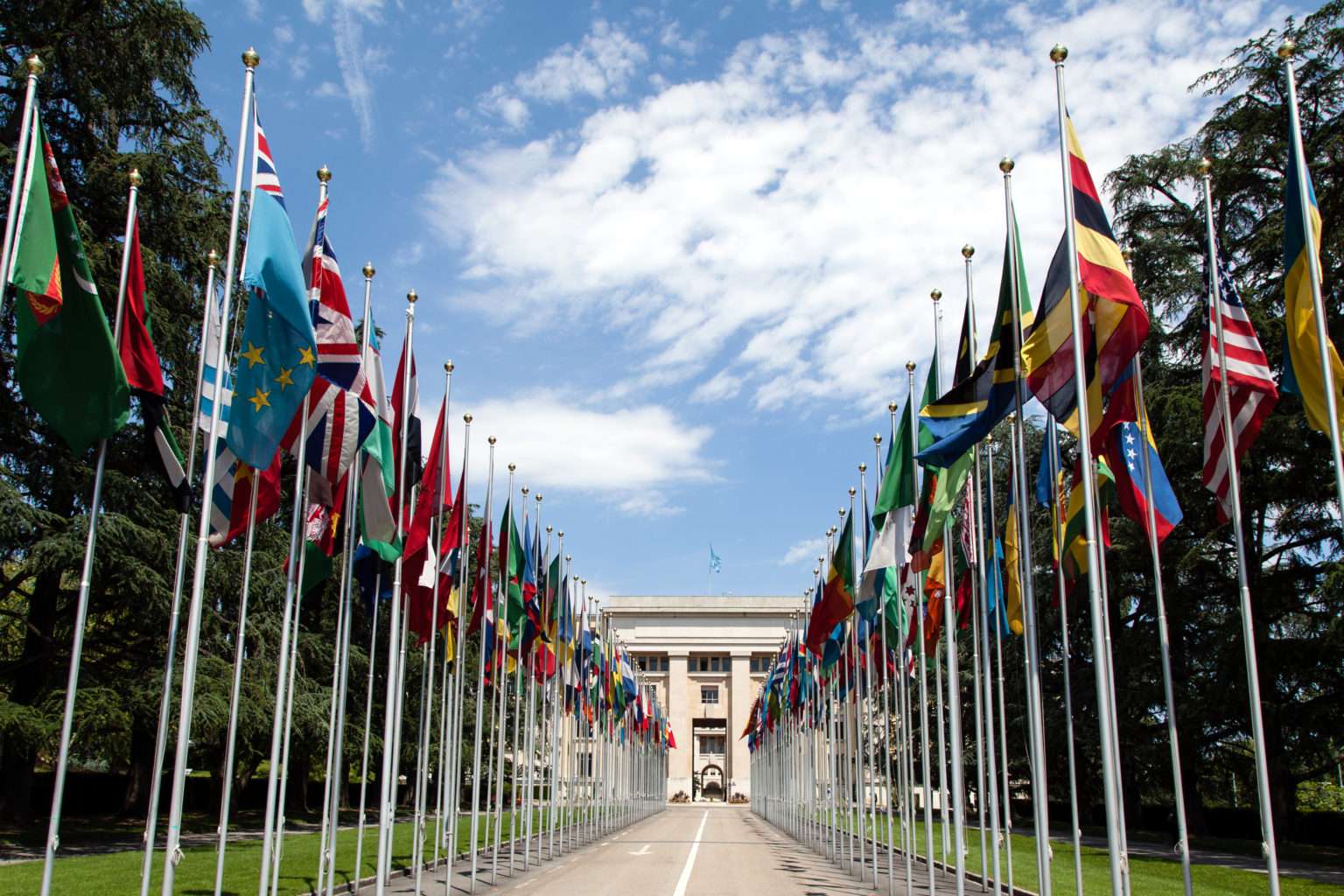 UN_Flags - Center for International Environmental Law