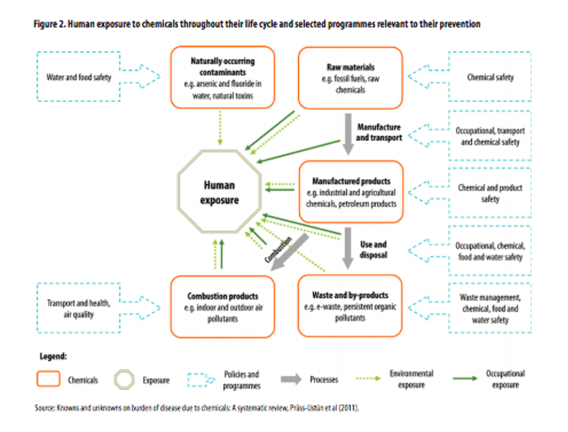 Human-exposure-to-chemicals - Center for International Environmental Law