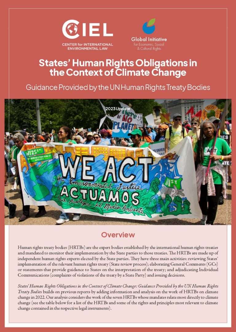 States’ Human Rights Obligations in the Context of Climate Change ...